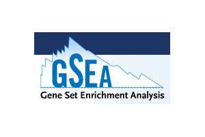 How to perform a Gene Set Enrichment Analysis