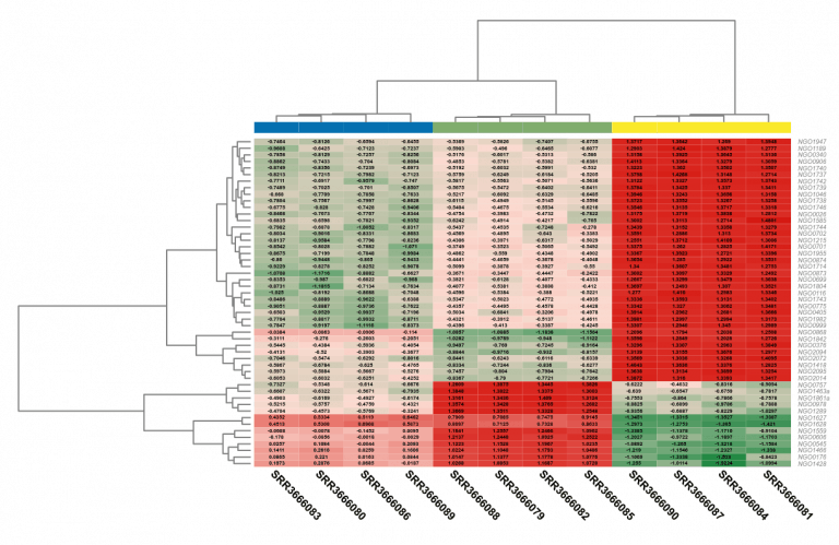 Transcriptomics Module - OmicsBox - BioBam | Bioinformatics Made Easy