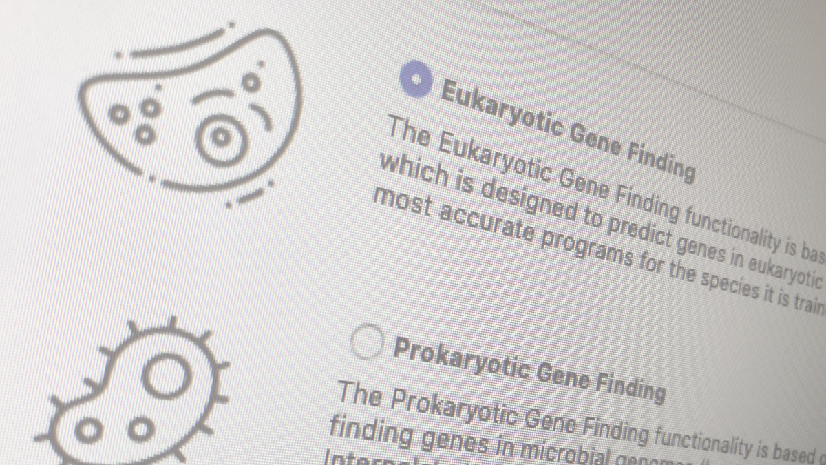 Eukaryotic Gene Finding with OmicsBox - BioBam