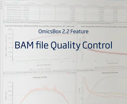 BAM File Quality Control