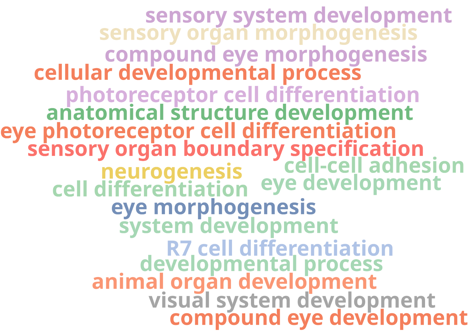 Cell Type Identification via Functional Enrichment Analysis