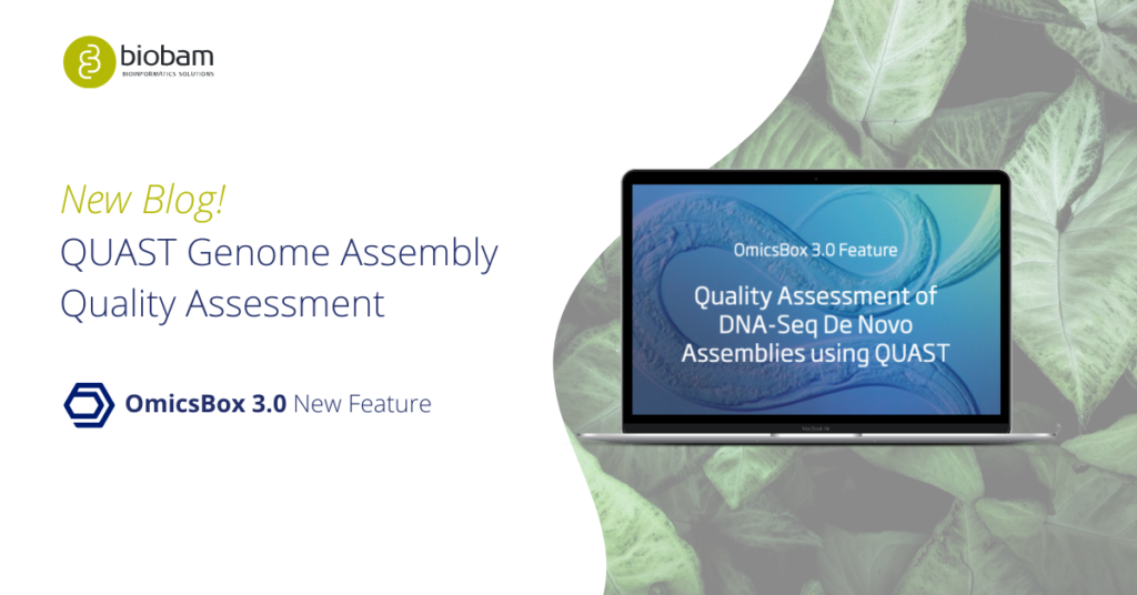 QUAST Genome Assembly Quality Assessment