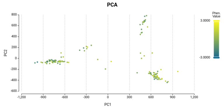 GWAS with OmicsBox - BioBam