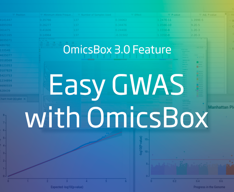 GWAS with OmicsBox - BioBam