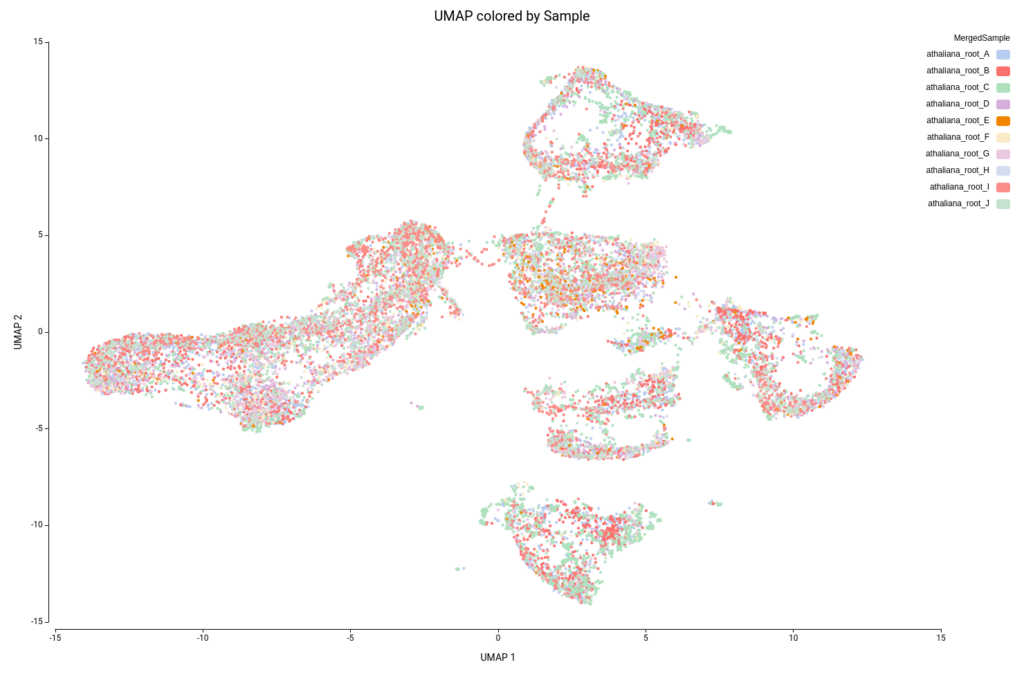 Single Cell RNA-Seq analysis of Arabidopsis thaliana roots with ...