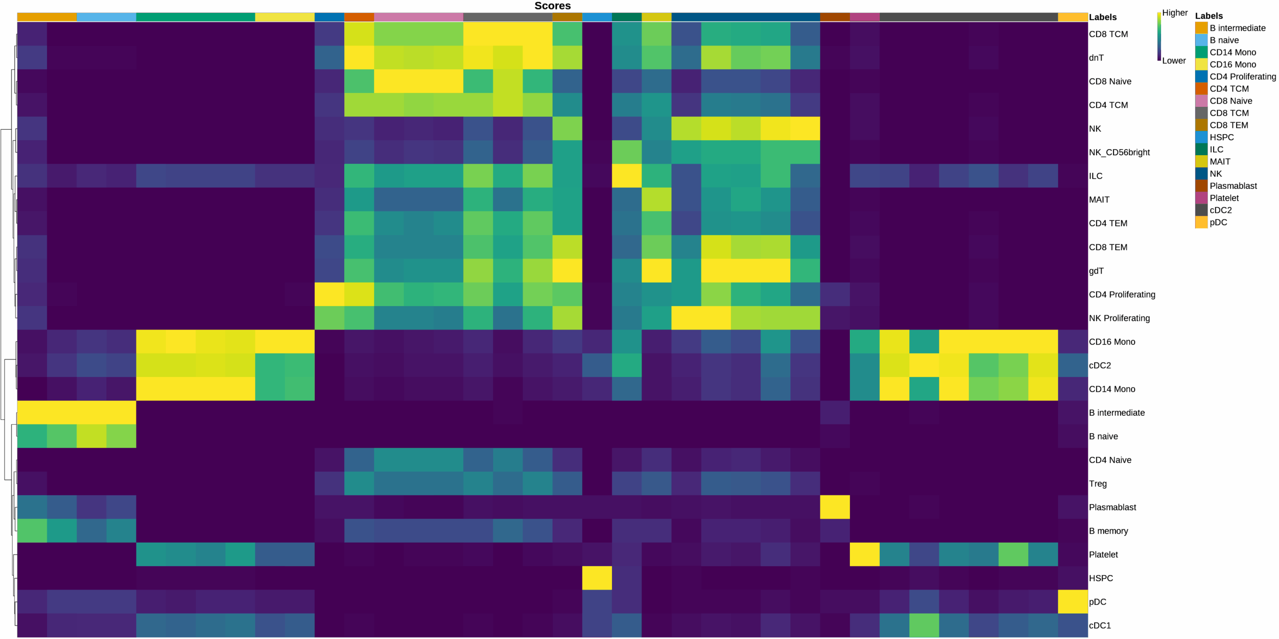 The Influence of Clustering Quality on Cell Type Accuraccy